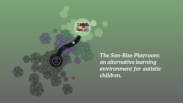 The Playroom: an ideal learning environment for autistic chi by ...