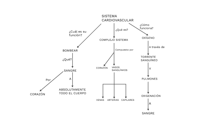 MAPA CONCEPTUAL by ̶A̶l̶e̶x̶ ̶D̶í̶a̶z̶ on Prezi