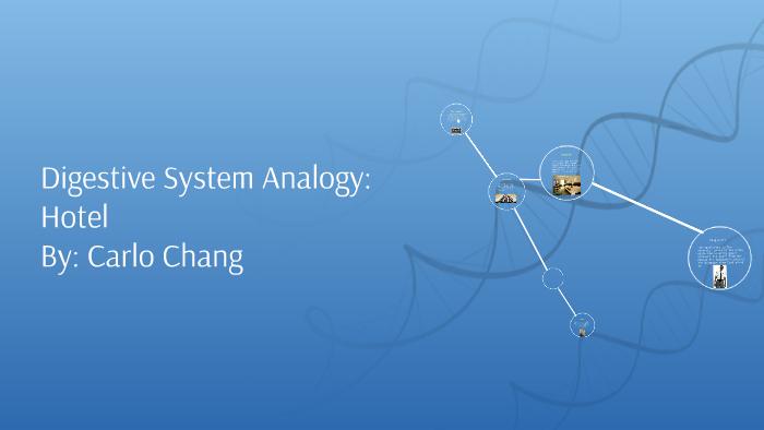 Digestive System Analogy: Car by Cat tot on Prezi