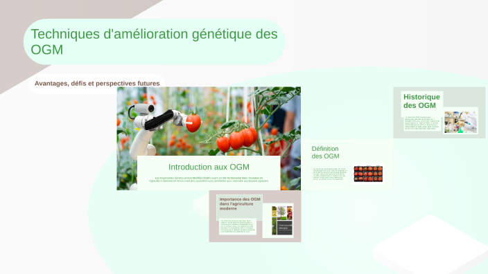 Techniques d'amélioration génétique des OGM by Imane Mk on Prezi