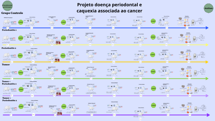 Linha do tempo by Gabriel Donner on Prezi