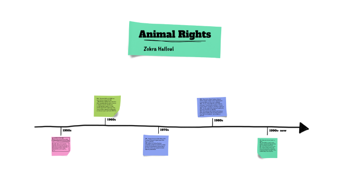 capstone timeline by Zohra Halloul (2024) on Prezi