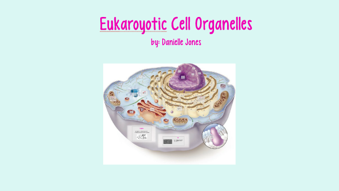 Cell Organelles Project by Danielle Jones on Prezi
