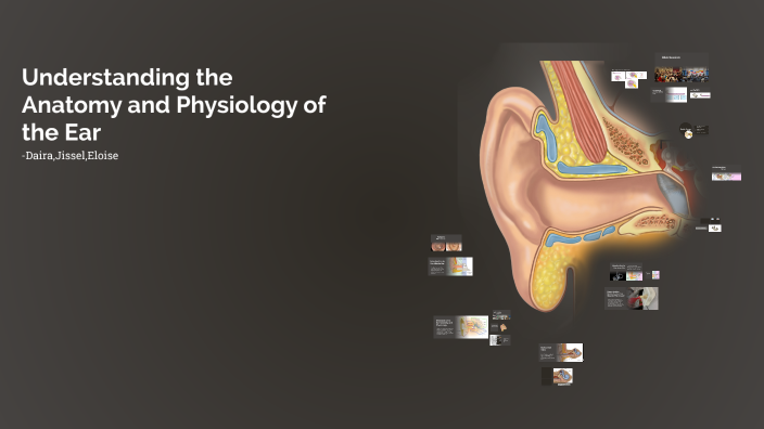 Understanding the Anatomy and Physiology of the Ear by Ma.Eloise Braga ...