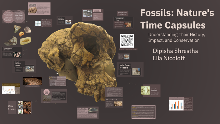 Fossils: Nature's Time Capsules by nopu on Prezi