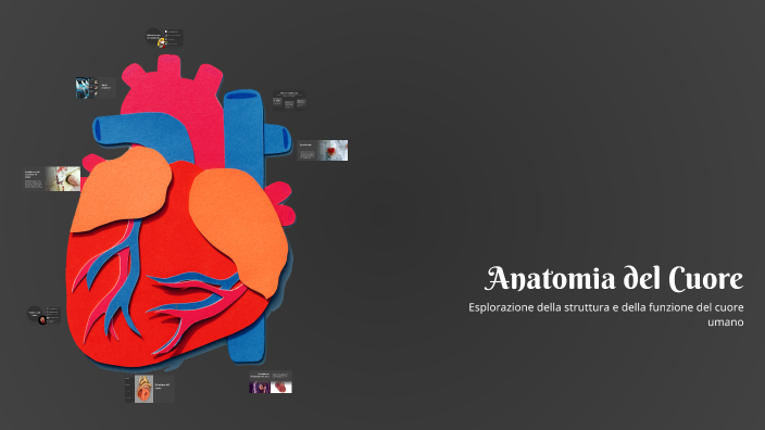 Anatomia del Cuore by habiba issa on Prezi