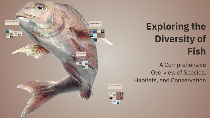 Exploring the Diversity of Fish by Brendan McGann on Prezi