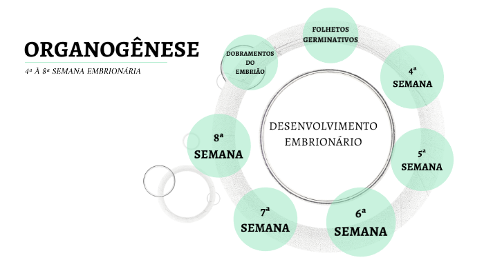 ORGANOGÊNESE by Larissa Pellin on Prezi