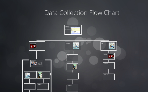 Data Collection Flow Chart by Ashley Trudo