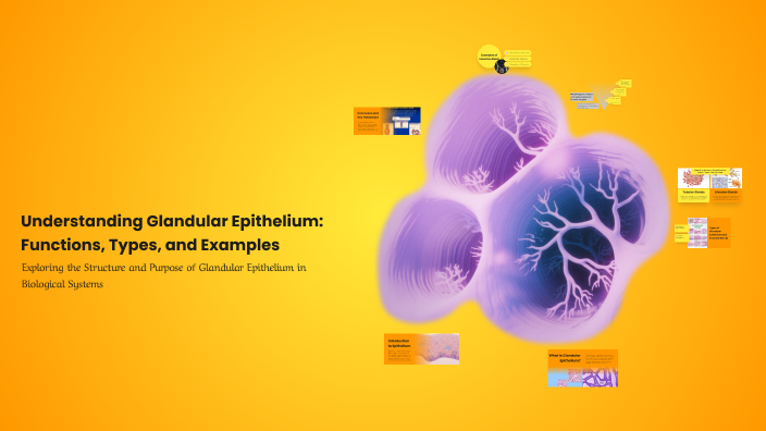 Understanding Glandular Epithelium: Functions, Types, and Examples by ...