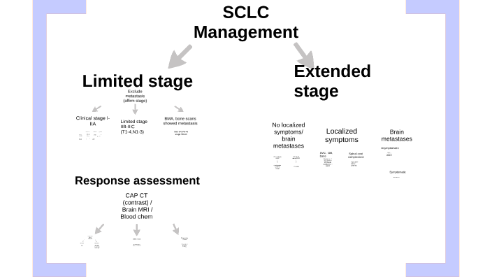 SCLC management by Fady Nady on Prezi