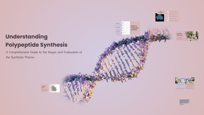 Understanding Polypeptide Synthesis by Karanveer Singh on Prezi