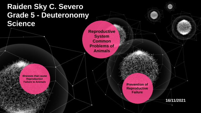 Reproductive System Common Problems by raiden sky severo on Prezi