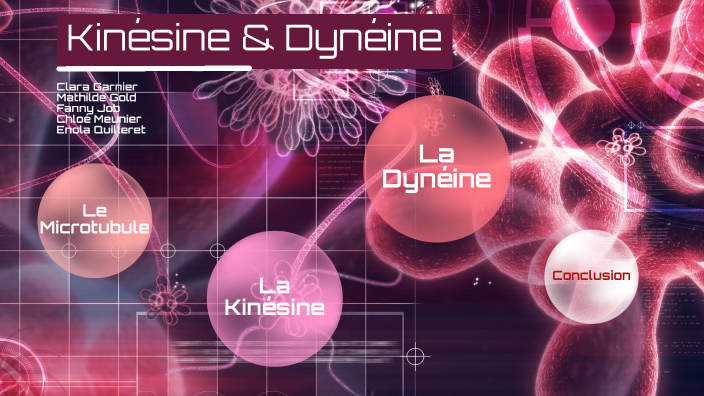 La Kinésine by Chloé Meunier on Prezi