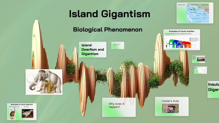 Island Gigantism by Jakub Pudełko on Prezi