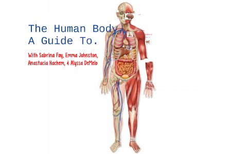 Human Body Travel Guide by Sabrina Fay on Prezi