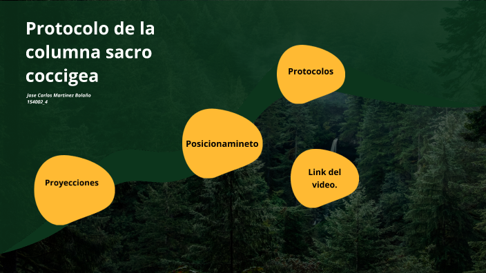 Protocolo de la columna sacro coccigea by Jc Martinez on Prezi