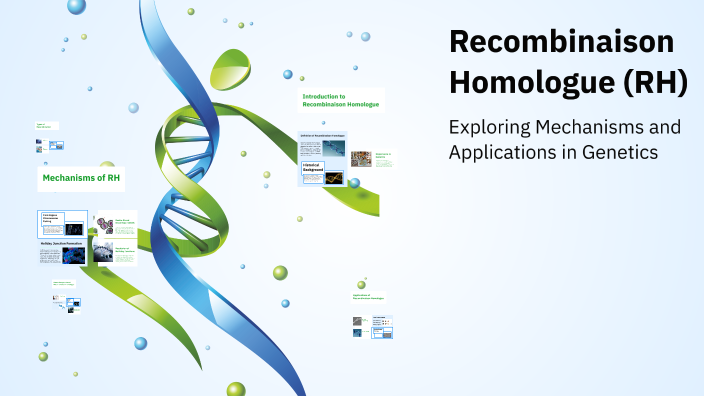 Recombinaison Homologue (RH) by MERYEM OULED BENNACEUR on Prezi