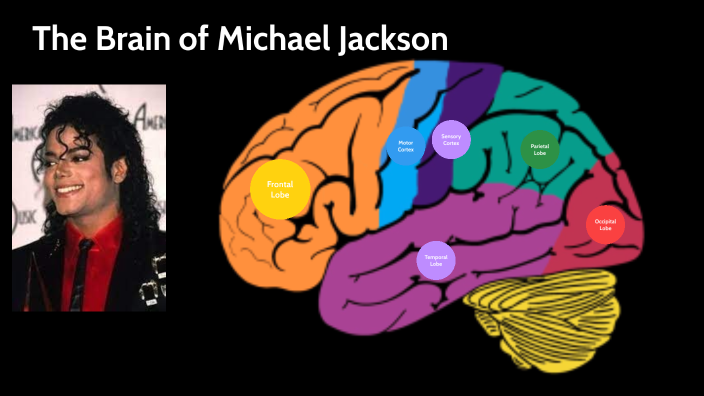 Michael Jackson's Brain by V on Prezi