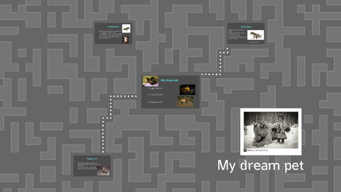 My dream pet IIIIIIIAAAAAAAAAAAANNNNNNN by LSB2 JLS on Prezi