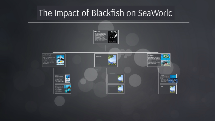 The Impact of Blackfish on SeaWorld by Josh Hollister on Prezi