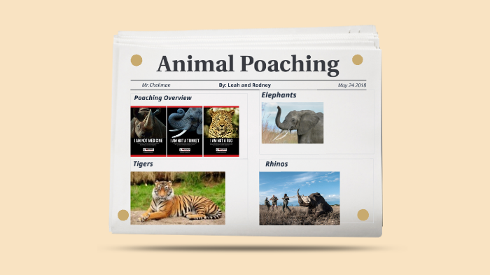 Animal Poaching by Leah Ross on Prezi
