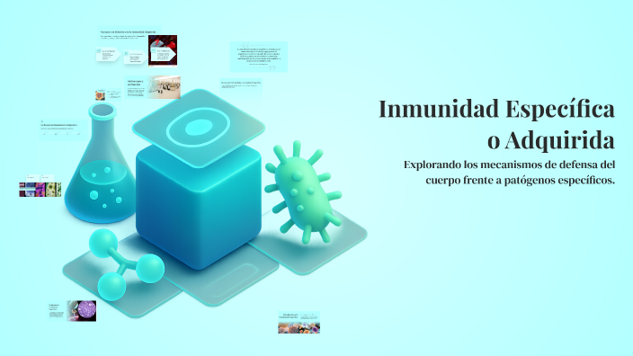 Inmunidad Específica o Adquirida by michelle torres on Prezi