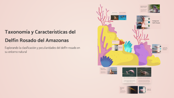 Taxonomía y Características del Delfín Rosado del Amazonas by Alexander ...