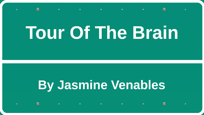 Tour Of The Brain by jasmine venables on Prezi