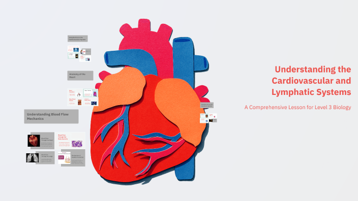 Understanding the Cardiovascular and Lymphatic Systems by Mayo on Prezi