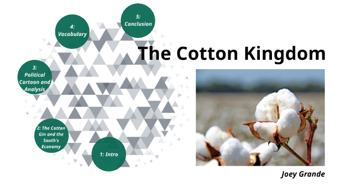 The Cotton Kingdom by Joey grande on Prezi