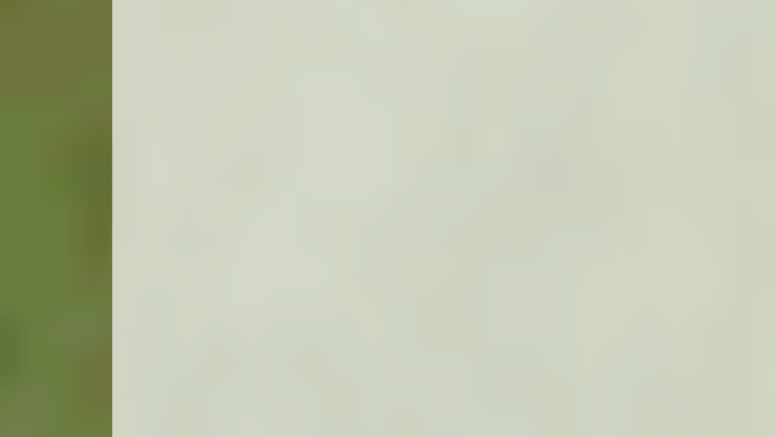 The South by Diane Sury on Prezi