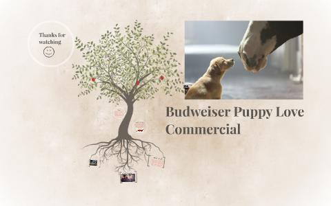 Budweiser Puppy Love Commercial by sarah birtch on Prezi