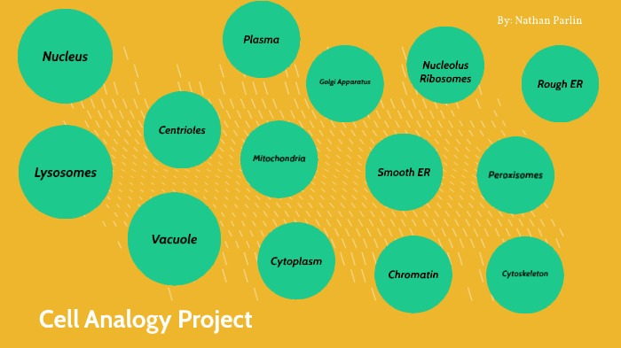 Cell Analogy Project- Shopping Mall by Nathan Parlin on Prezi