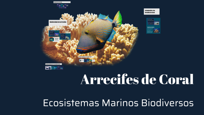 Arrecifes de Coral by JANETT CRUZ CARMONA on Prezi