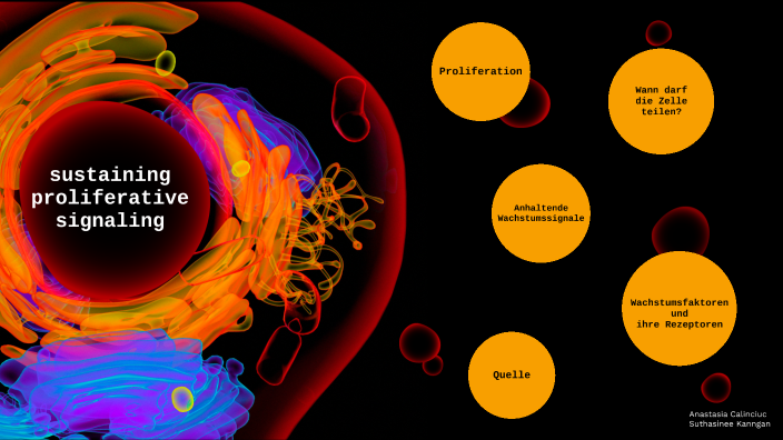 sustaining proliferative signaling by suthasinee kanngan on Prezi