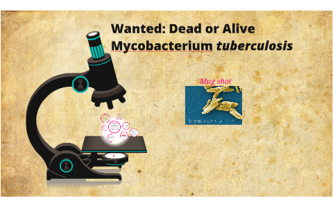 Pathogen wanted poster (Mycobacterium tuberculosis) by J Akselrod on Prezi