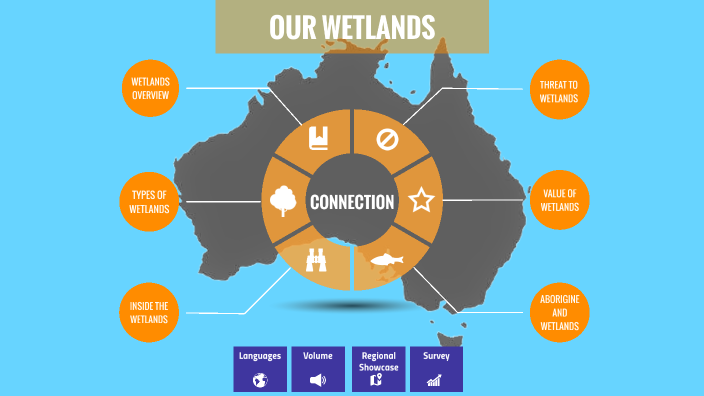 Our Wetlands by Risa Turner on Prezi Next