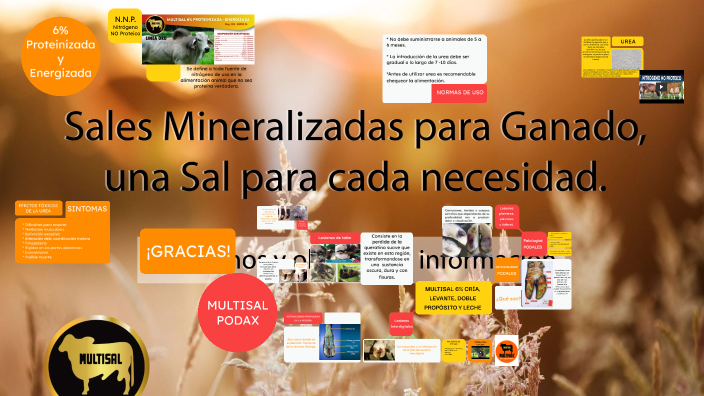 MULTISAL by Wen Fuentes on Prezi