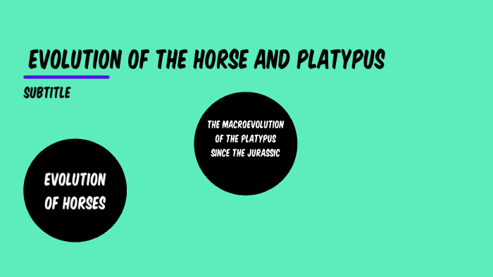 Evolution of the Horse and Platypus by paridhi mathur on Prezi