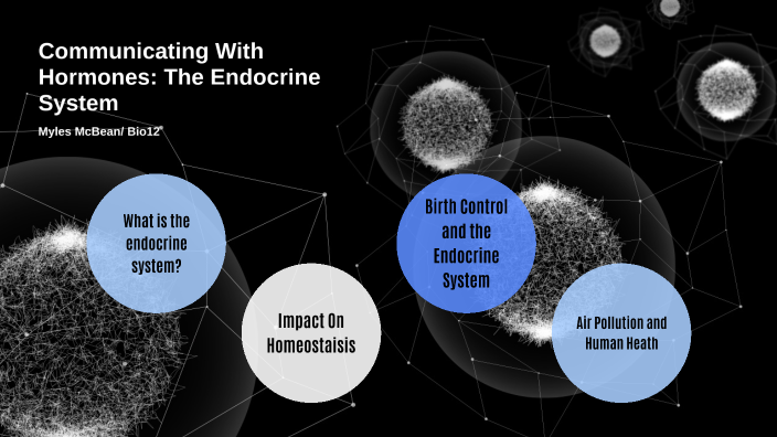 The Endocrine System by Myles McBean on Prezi