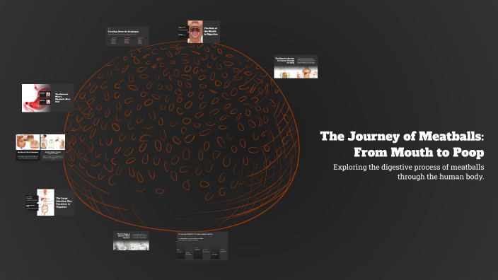 The Journey of Meatballs: From Mouth to Poop by Jonne Johansson on Prezi