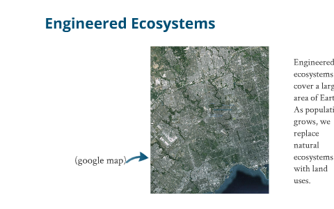 Engineered Ecosystems and Modern Agriculture by 太元 郭 on Prezi