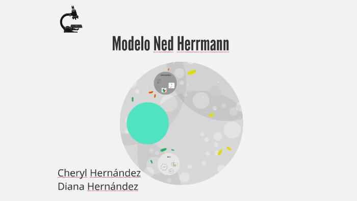 Modelo Ned Herrmann by Diana Milena Hernández on Prezi
