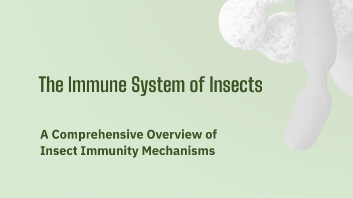 The Immune System of Insects by Xyra Saavedra on Prezi
