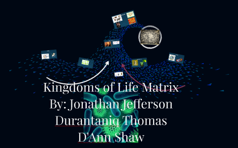 Kingdoms of Life Matrix by Jonathan Jefferson