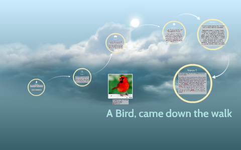 A Bird, came down the walk by Maggie Meisberger on Prezi