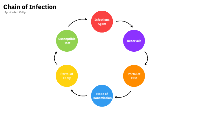 JCrilly - Chain of Infection Graphic by J Crilly on Prezi