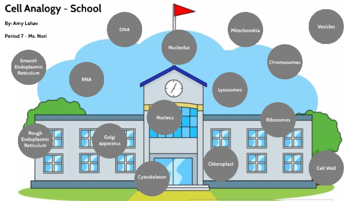 Cell Analogy - School by Amy Lahav on Prezi