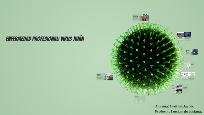 Enfermedad Profesional: Virus Junín by Camii Galvan on Prezi